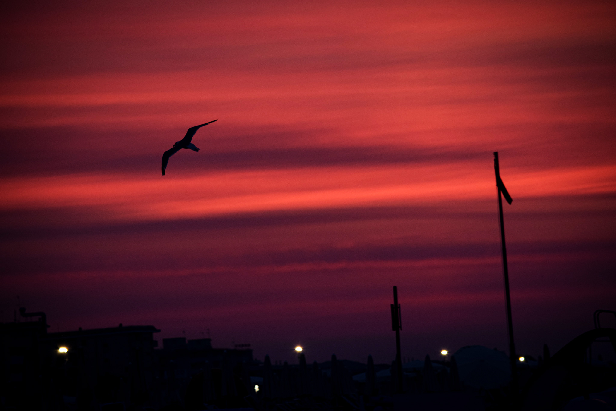 Roberta Murgo Fotografa – Servizi Fotografici professionali a Padova ...