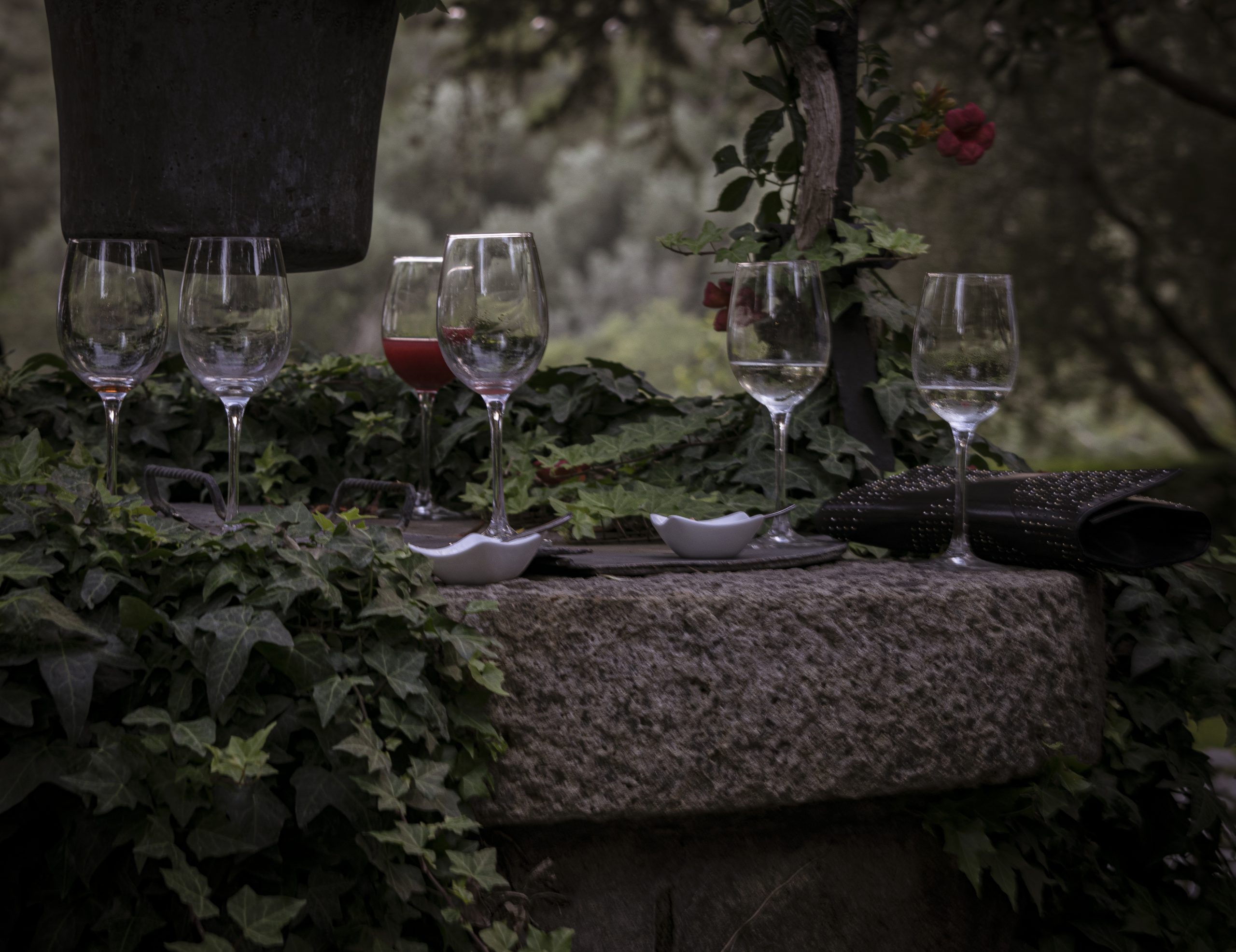 AZIENDE – Roberta Murgo Fotografa