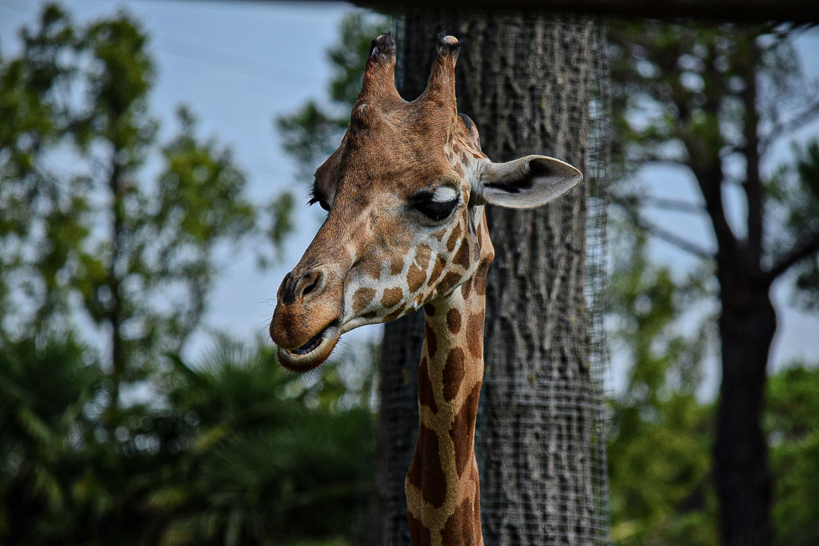 Portfolio – Roberta Murgo Fotografa