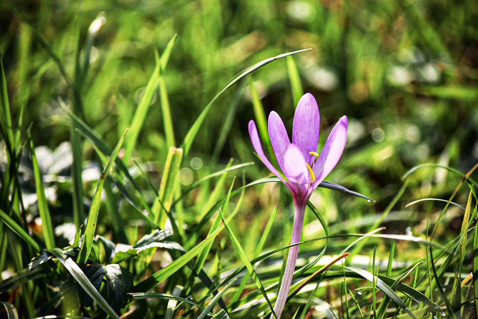 Roberta Murgo Fotografa – Servizi Fotografici professionali a Padova ...
